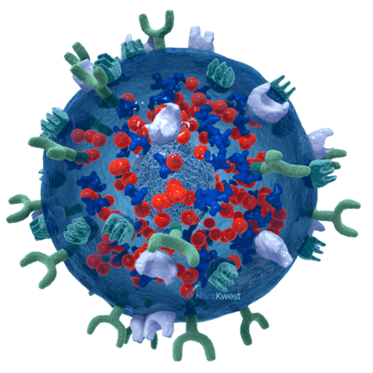 Immunotherapy and Cell Therapy Platforms - Therapies for Cancer